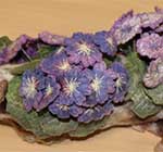 Gallery – The Living Threads Group